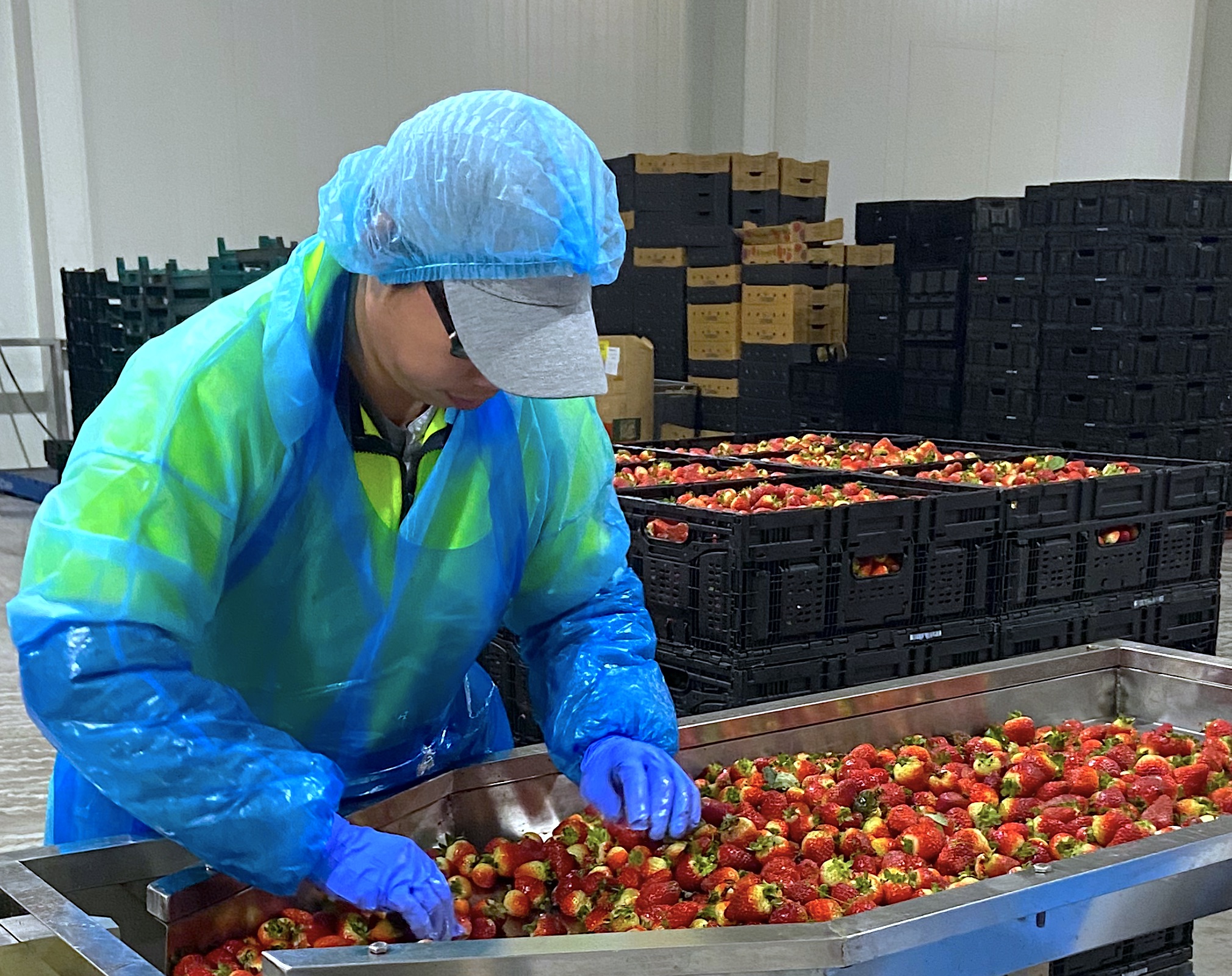 Frozen Fruit Finds its Feet with Fermecraft
